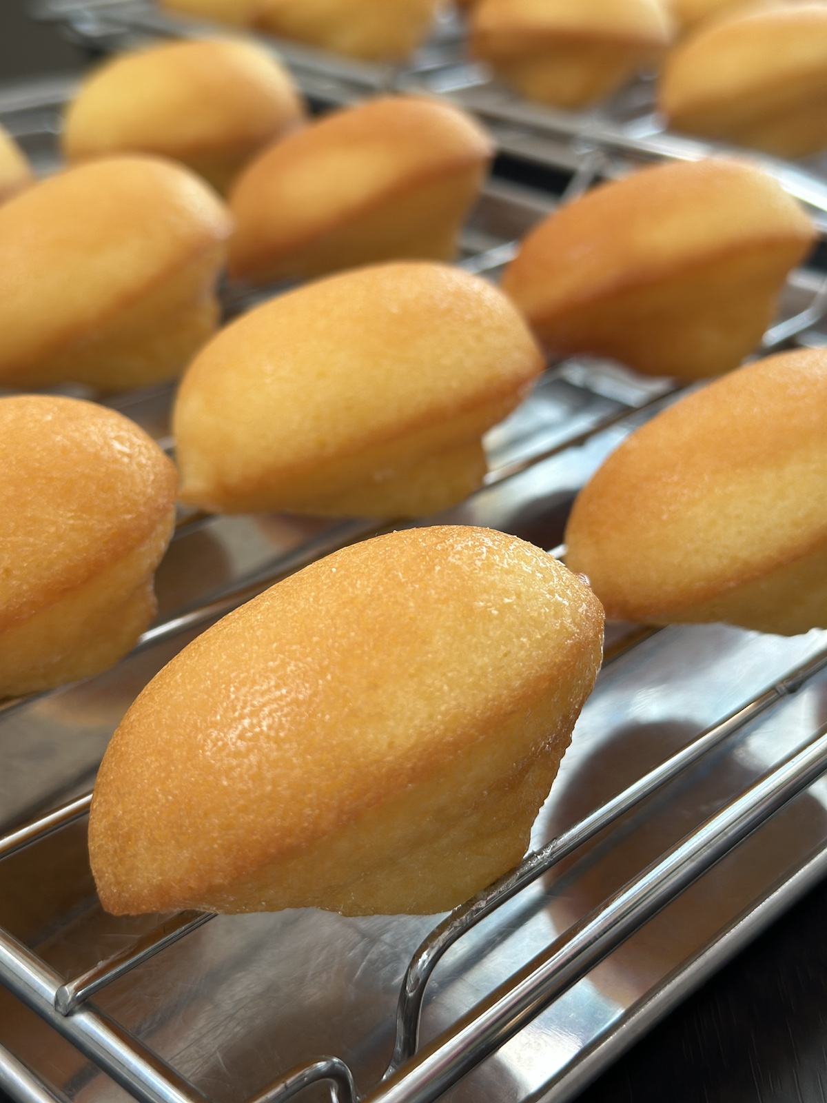 レモンケーキ - 手作りケーキの店カプリスイーツ｜前橋市富士見町